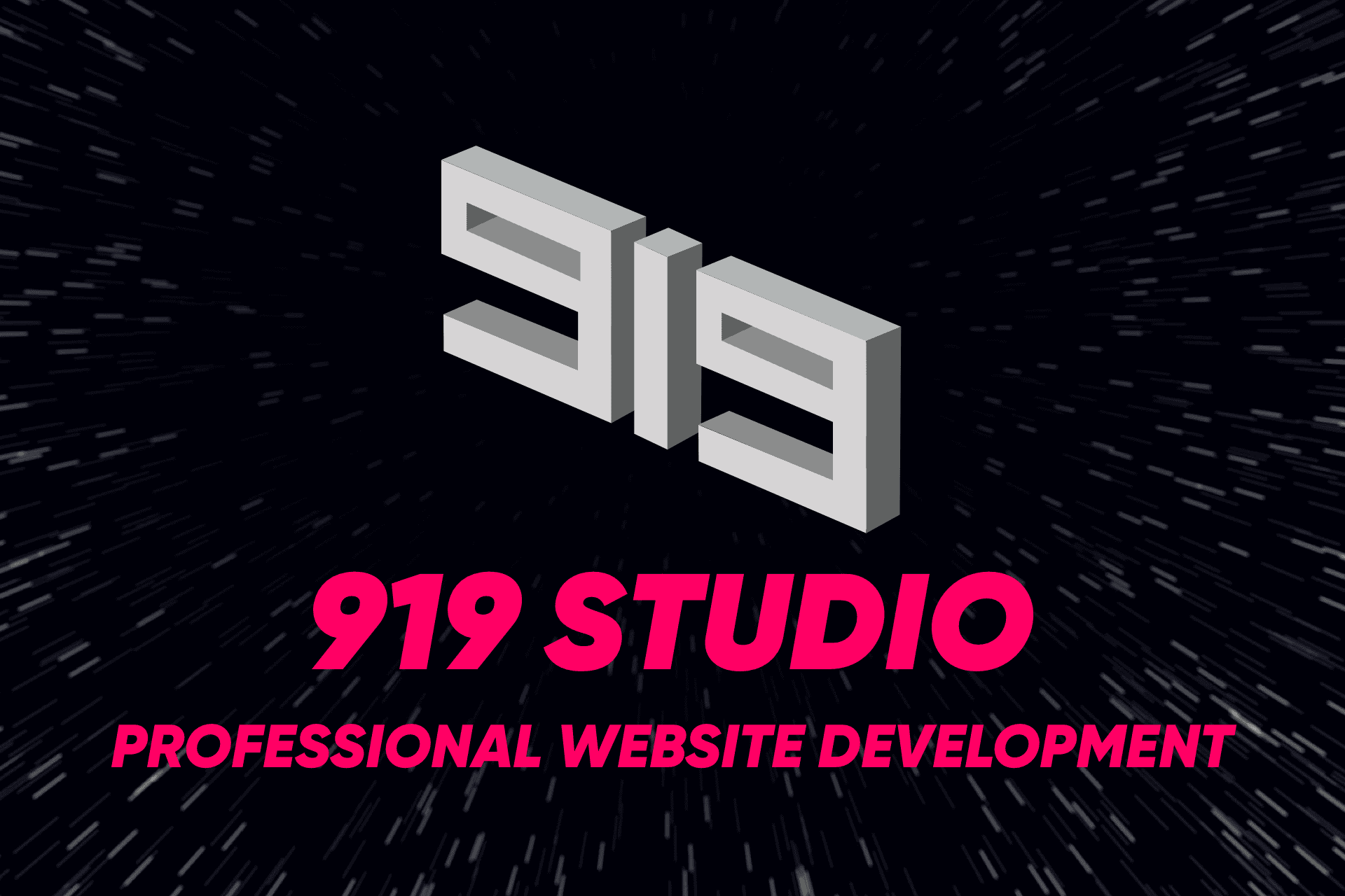 919 STUDIO - Professional Website Development